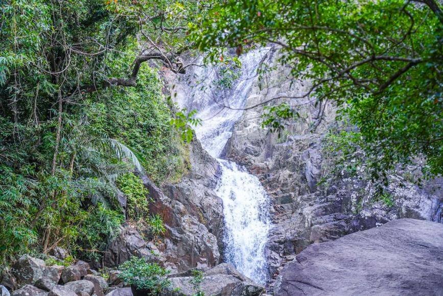 从海岸度假到山地康养……冬季旅游在海南开启别样之旅